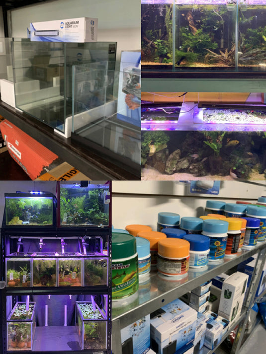 de Bakker's Motorcycles & Clermont aquarium supplies